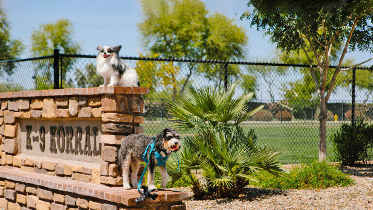 Robson Ranch Arizona - Robson Resort Communities - Luxury 55+ Active ...